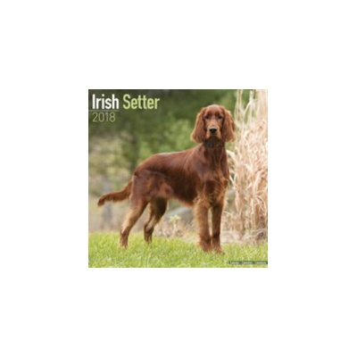Irish Setter 2018 - Heureka.cz
