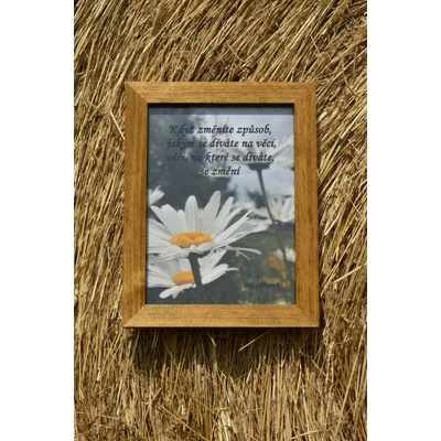 Motivační obrázky - Inspirační obrázek malý "Pro život - kopretina ...