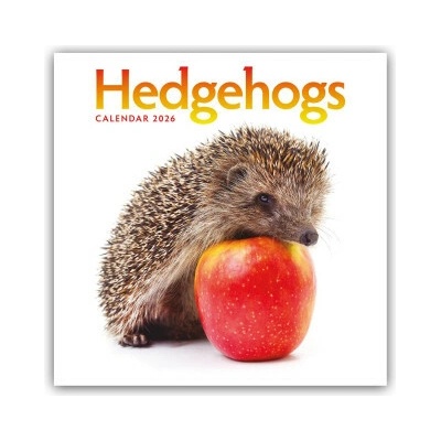 Hedgehogs Igel Wand 2026 - Heureka.sk