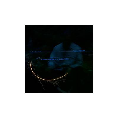 Havelka Václav - A Snake Crawling Up a Broken Ladder CD od 12,2 ...