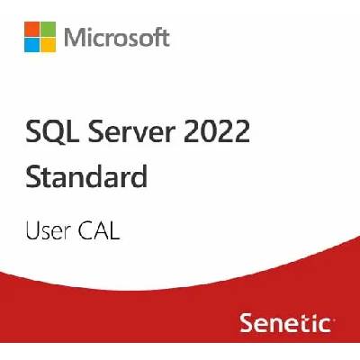 Microsoft SQL Server 2022 1 User CAL (DG7GMGF0MF3T-0002) - Pazaruvaj.com