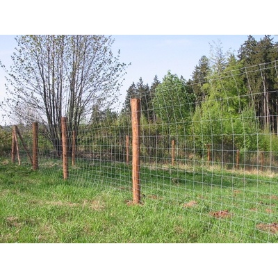 Lesnické pletivo Česká oplocenka 160 cm - 1.6+2.2/1600/16/150/50m od 1 ...