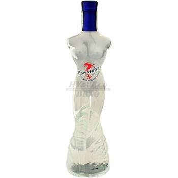 Kamasutra Oriental Vodka 40% 0,5 l (holá láhev) od 374 Kč - Heureka.cz