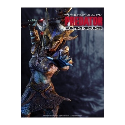 Predator: Hunting Grounds - Valkyrie Predator od 149 Kč - Heureka.cz