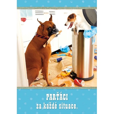 Ditipo Hrací přání K narozeninám Parťáci za každé situace Filip Brabec ...