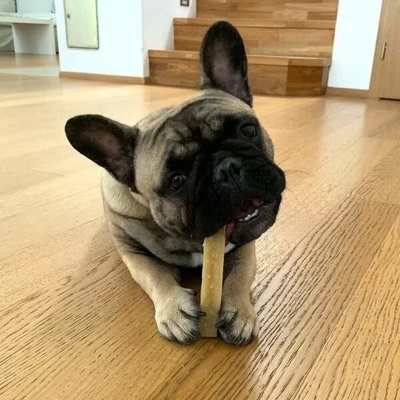 Dogsie Dentální pamlsek pro psy Himalájská tyčka 115 g od 309 Kč ...