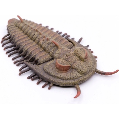 Collecta Redlichia Rex Trilobite zvířete od 119 Kč - Heureka.cz