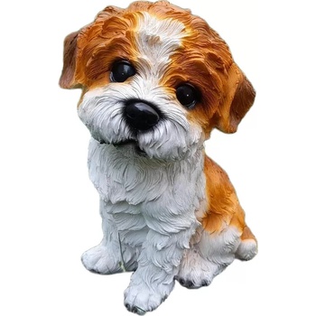 Pes Shih-tzu - Heureka.cz
