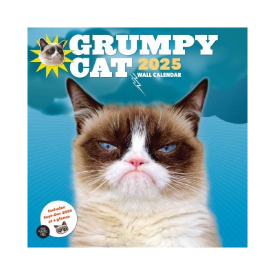 CAL 25 GRUMPY CAT WALL 2025 od 314 Kč - Heureka.cz