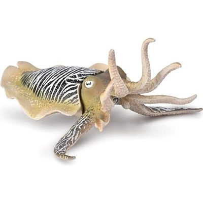 Collecta Sépie obecná od 187 Kč - Heureka.cz