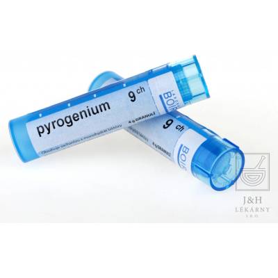 PYROGENIUM POR 9CH GRA 4G od 89 Kč - Heureka.cz