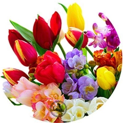 Dortisimo Jedlý obrázek Květiny - Heureka.cz