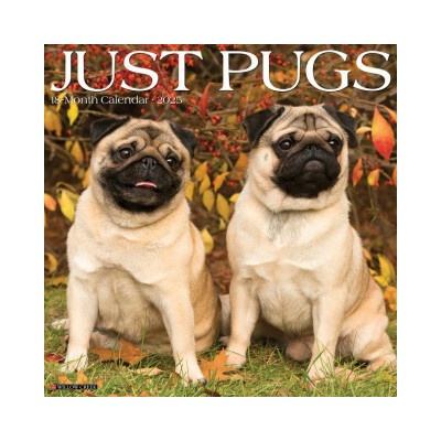 Pugs 12 X 12 Wall 2026 od 11,43 € - Heureka.sk