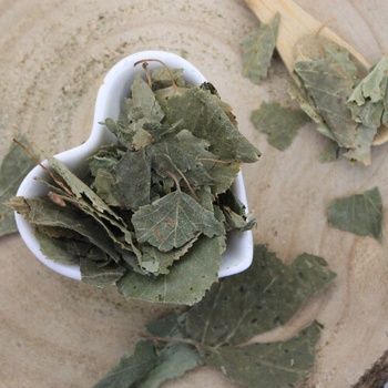 Bioruža Breza previsnutá breza bielokôra list celý Betula pendula ...