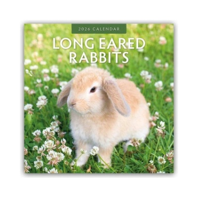 Long Eared Rabbits Langohrhasen 16 Monats 2026 od 208 Kč - Heureka.cz