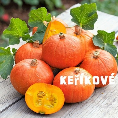 AMORO F1 Keříkové hokkaido od 79 Kč - Heureka.cz