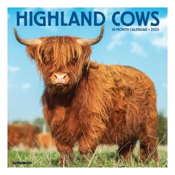 Highland Cows 12 X 12 Wall 2026 od 11,46 € - Heureka.sk