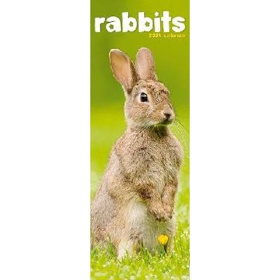 Rabbits Slim Cute Slimline 12 Month 2024 - Heureka.cz