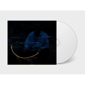 Havelka Václav - A Snake Crawling Up a Broken Ladder CD od 12,2 ...