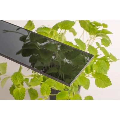 Arla Plast Plný polykarbonát 6 mm 2100 x 4500 mm antracit 1 ks od 16 ...