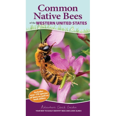 Common Native Bees of the Western United States: Your Way to Easily ...