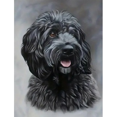 Norimpex Černý Cockapoo 30 × 40 cm 2003066 od 3,14 € - Heureka.sk