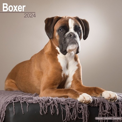 Boxer 2024 - Heureka.cz