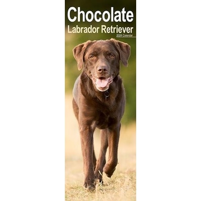 Chocolate Labrador Slim Dog Breed Slimline 12 Month 2024 - Heureka.cz