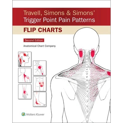 Travell, Simons & Simons' Trigger Point Pain Patterns Flip Charts ...