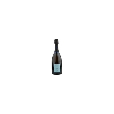 Terra Vizina Cuvée Extra Dry 11% 0,75 l (holá láhev) od 169 Kč - Heureka.cz
