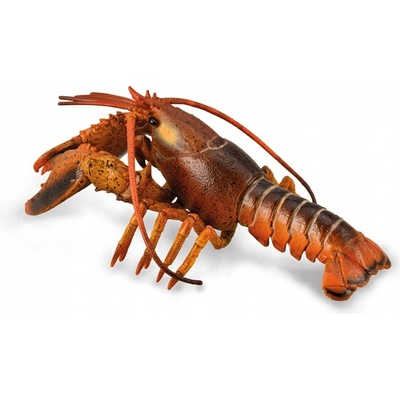 Collecta Humr Homar od 339 Kč - Heureka.cz