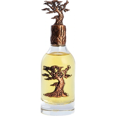 Lattafa Pride Eternal Oud parfémovaná voda unisex 100 ml od 782 Kč ...