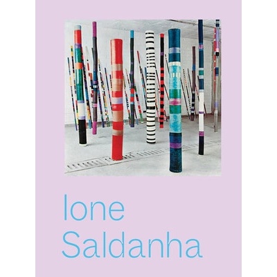 Ione Saldanha: The Invented City Saldanha Ione - Heureka.sk