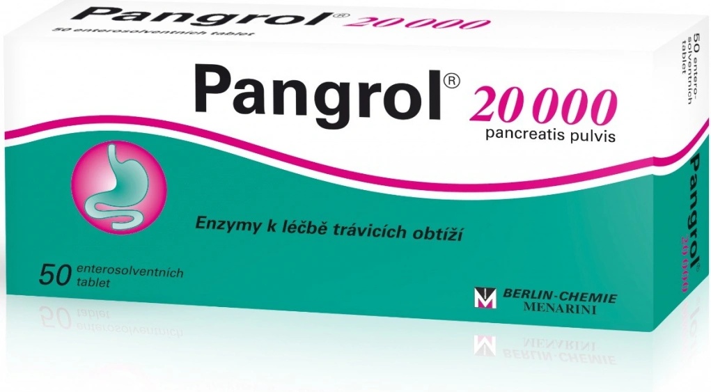 PANGROL POR 20000IU TBL ENT 50 II od 194 Kč - Heureka.cz