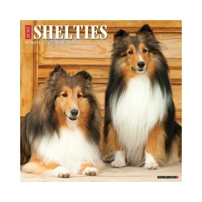 Shelties 12 X 12 Wall 2026 od 235 Kč - Heureka.cz