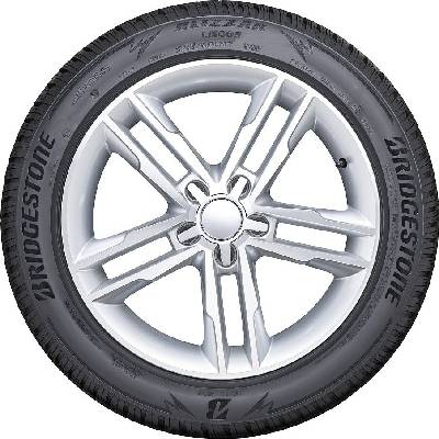 Bridgestone Blizzak LM005 205/55 R16 91H od 2 686 Kč - Heureka.cz