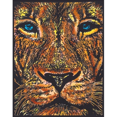 Colorvelvet Sametový obrázek Lev od 225 Kč - Heureka.cz