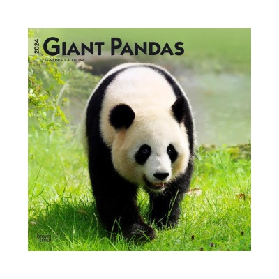 Giant Pandas Square 2024 - Heureka.cz